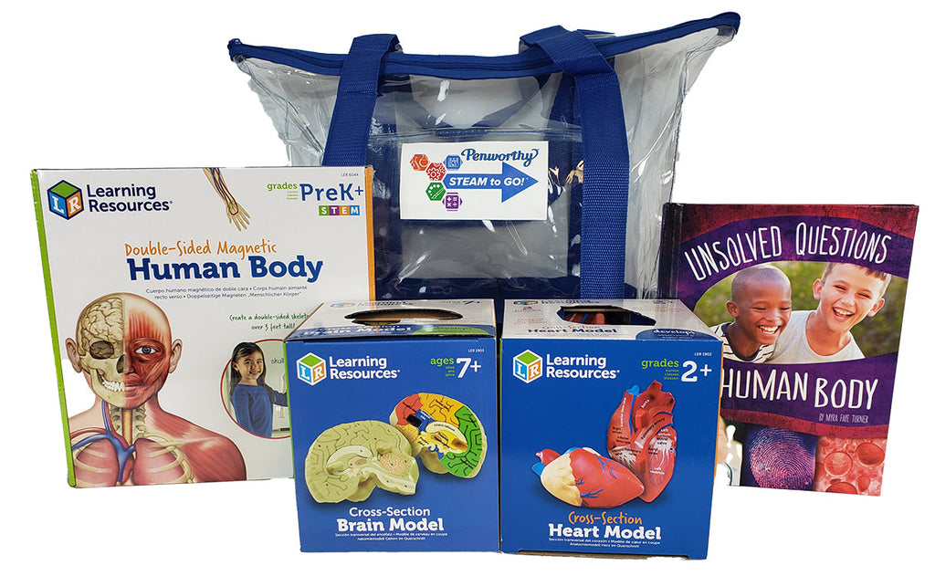 Human Body Exploration Kit – EducationMegaStore.com